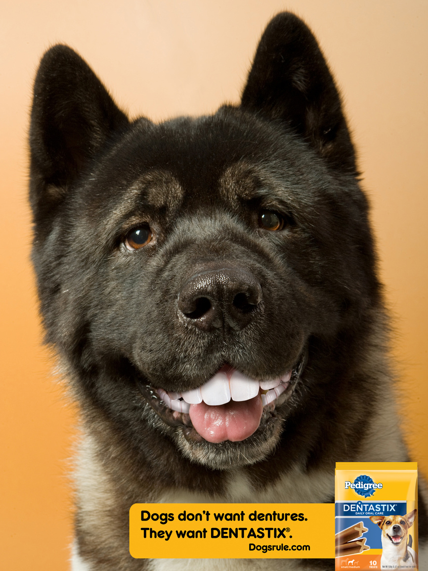 DENTASTIX – Denise Zurilgen | GCD/Art