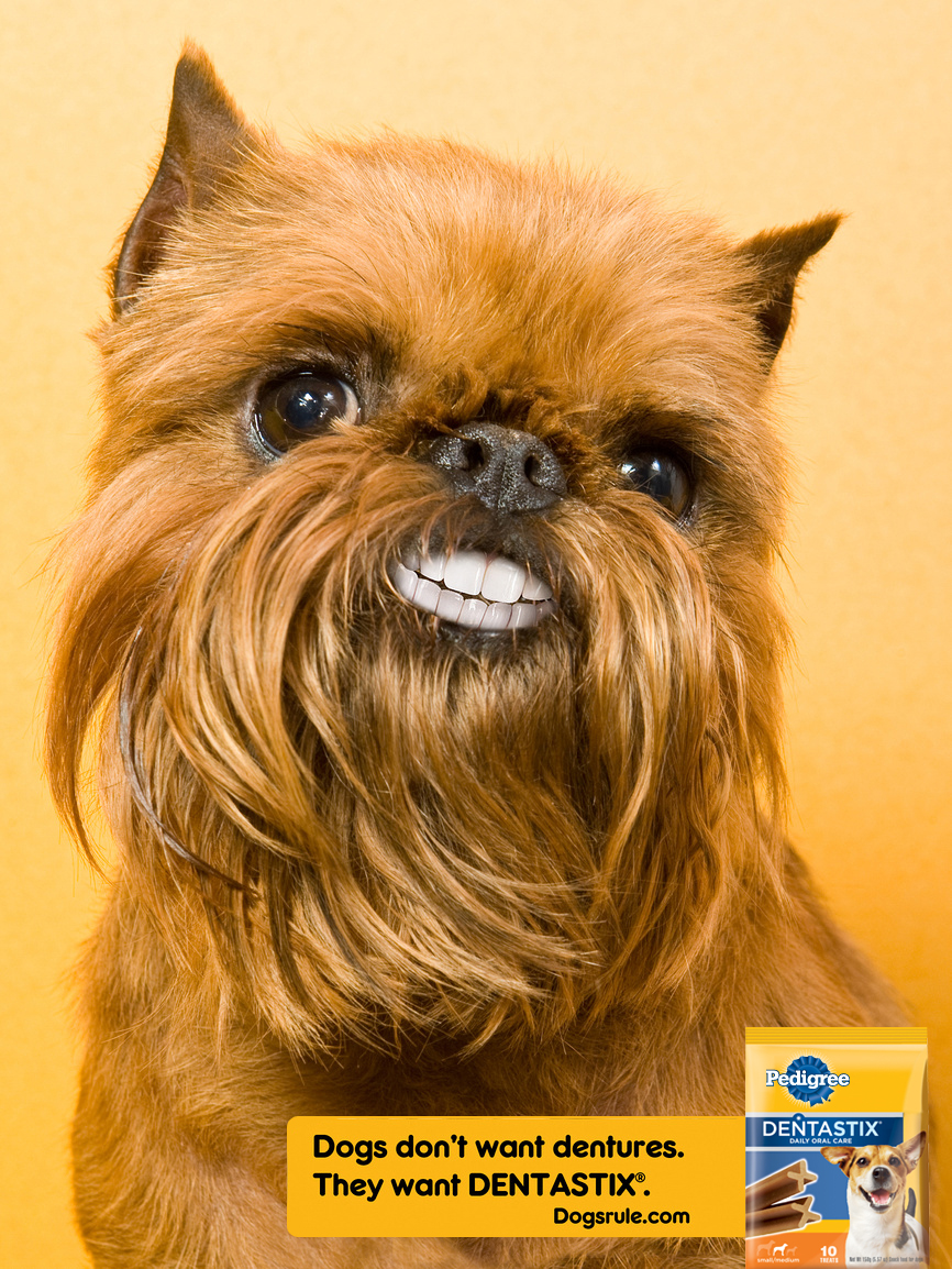 DENTASTIX – Denise Zurilgen | GCD/Art