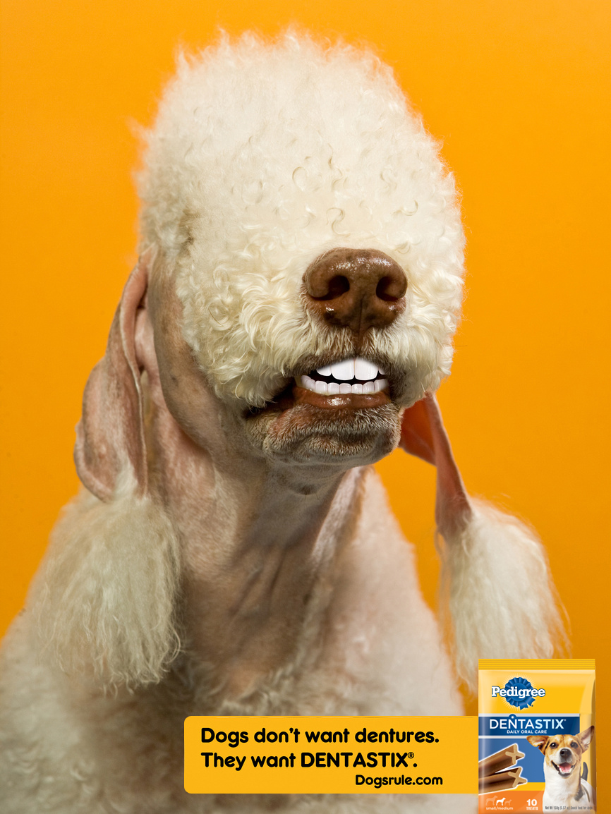 DENTASTIX – Denise Zurilgen | GCD/Art