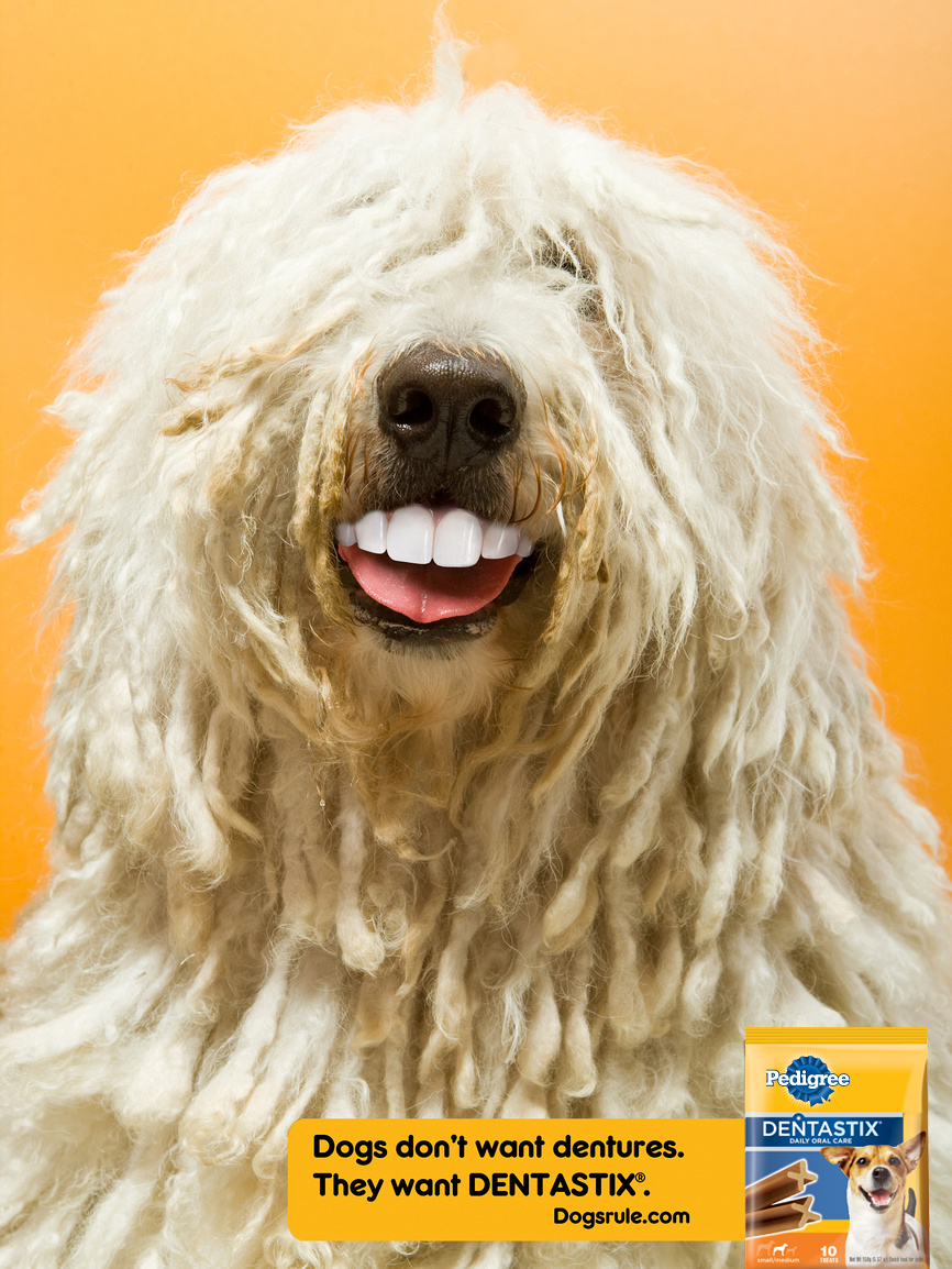 DENTASTIX – Denise Zurilgen | GCD/Art